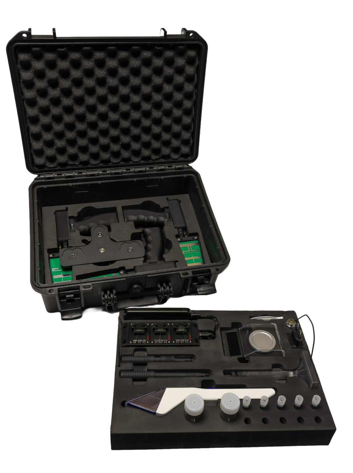 Aziatische hoornaar - Robor Nature