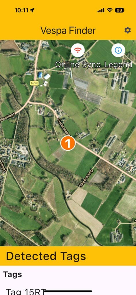 Asian hornet - Robor Nature