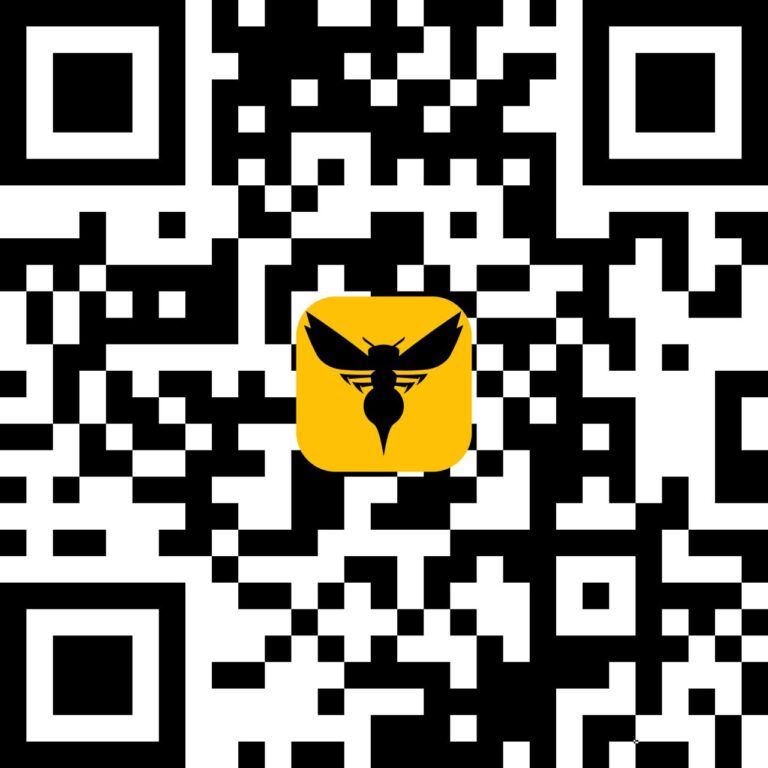 Asian hornet - Robor Nature