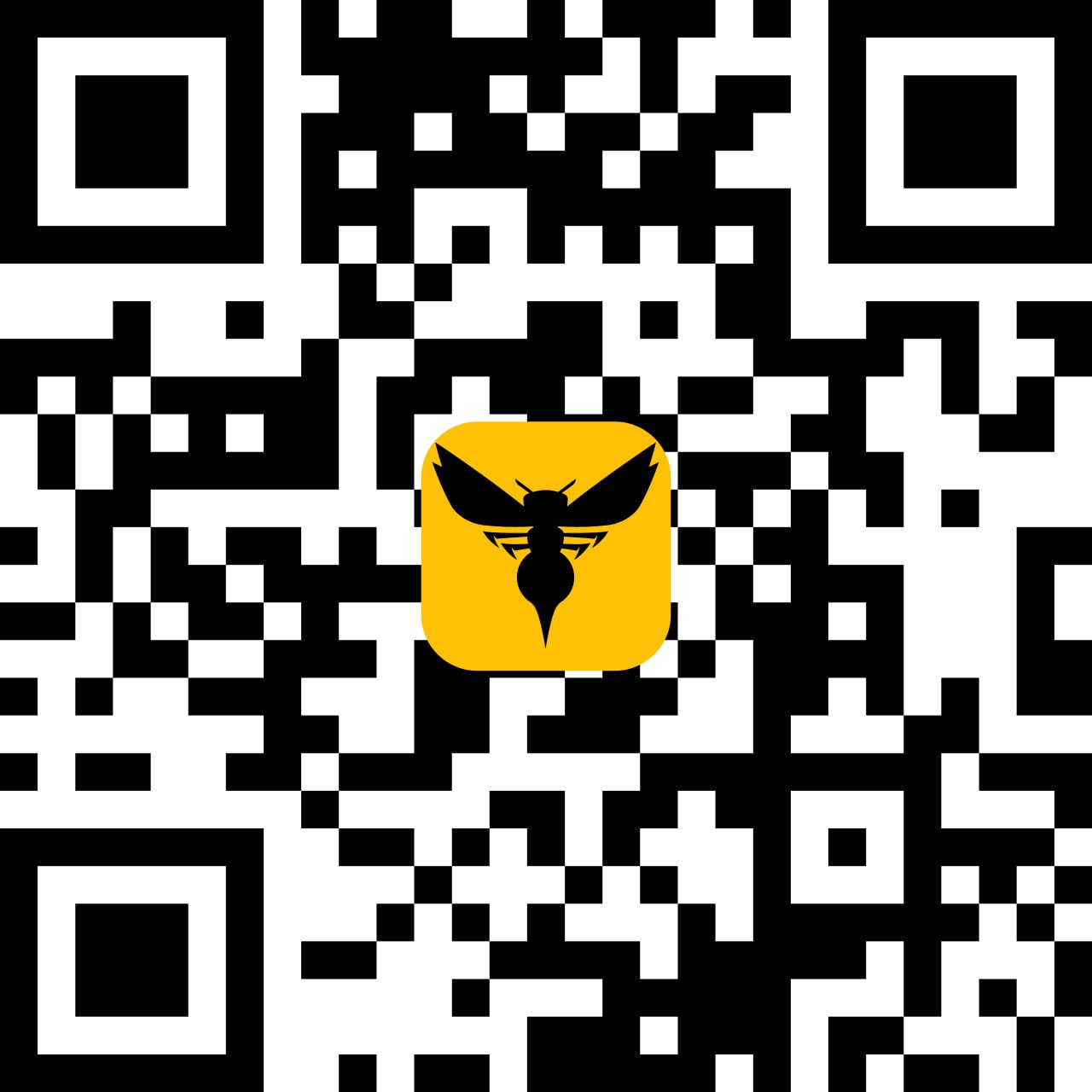 Asian hornet - Robor Nature