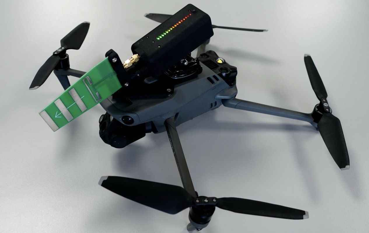 Asian hornet - Robor Nature